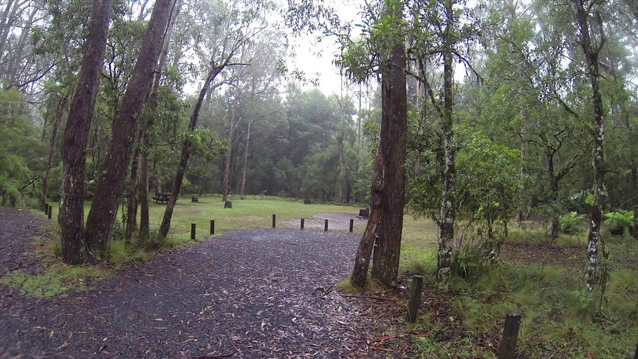 Thungutti Campground, New England National Park, Ebor, NSW - YouTube