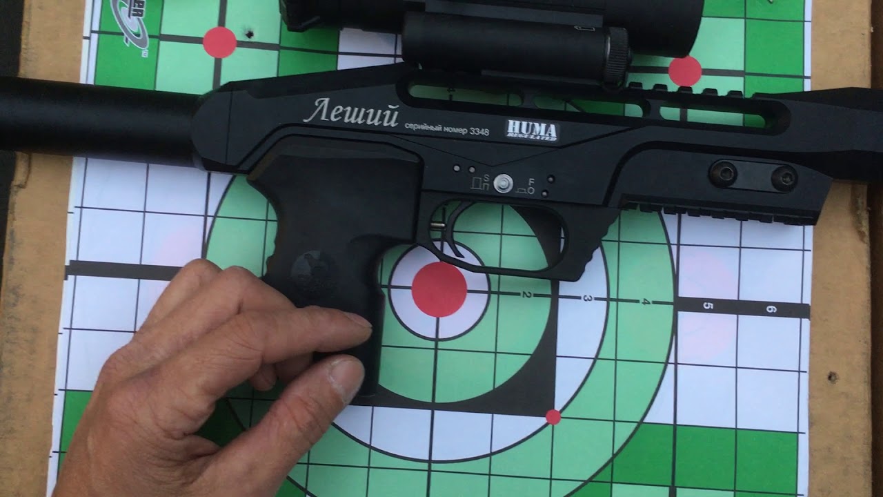 Edgun Leshiy w/350mm barrel & Huma regulator - YouTube