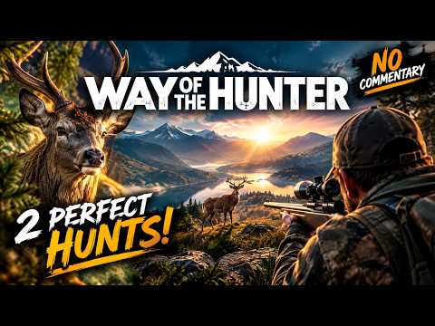 2 PERFECT HUNTS! 🦌 | Way of the Hunter Gameplay – Sessiz ve Gerçekçi Av