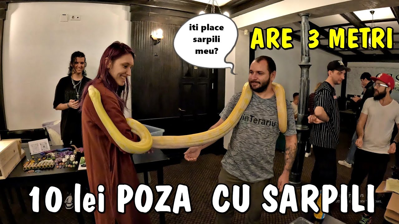 10 lei poza cu ȘARPILI de 3 metri - EXPO TERARISTICA PITEȘTI 2024 - YouTube