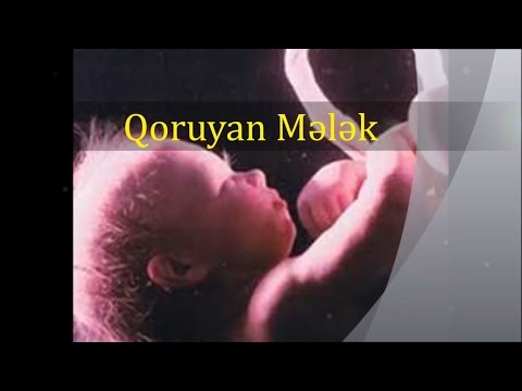 8 mart