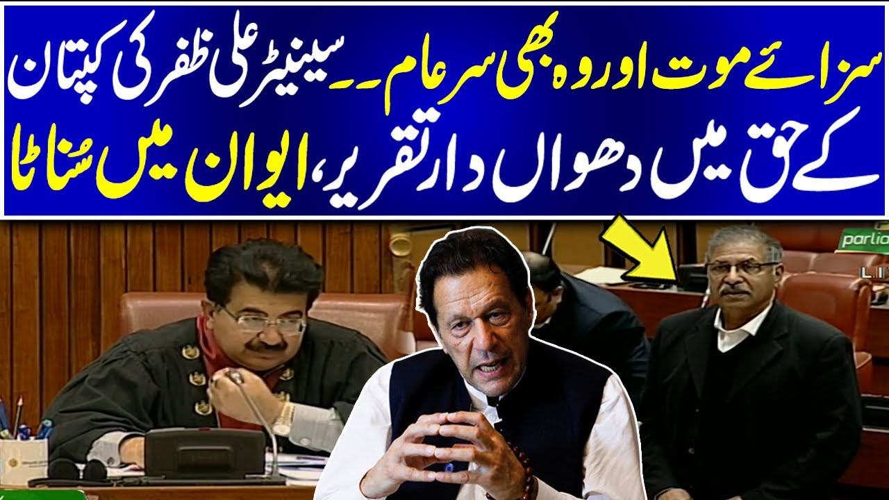Syed Ali Zafar Important Speech front of Chairman Senate | Neo News ...