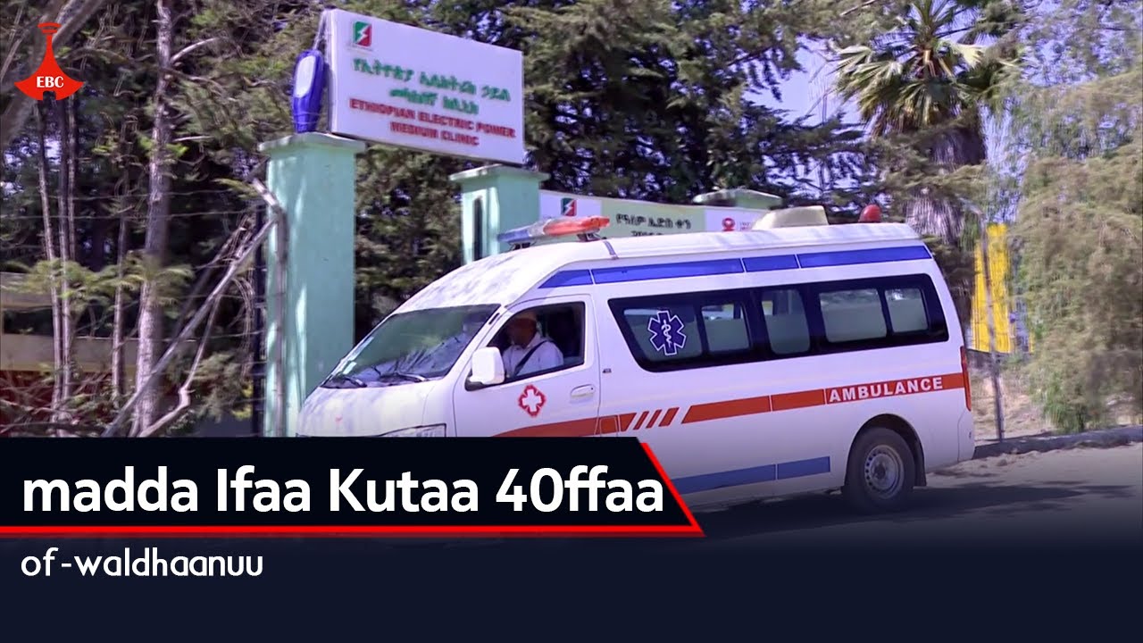 madda Ifaa Kutaa 40ffaa - YouTube
