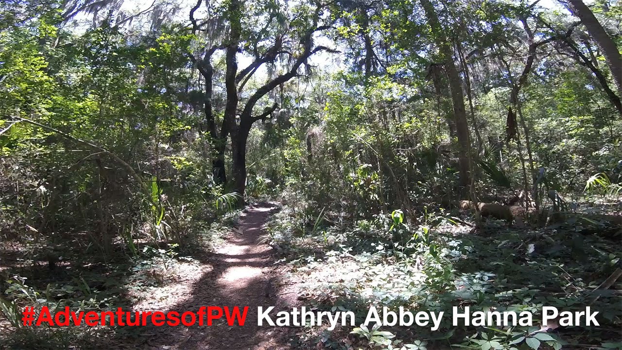 Kathryn Abbey Hanna Park Bike Trails Jacksonville, FL | #AdventuresofPW ...