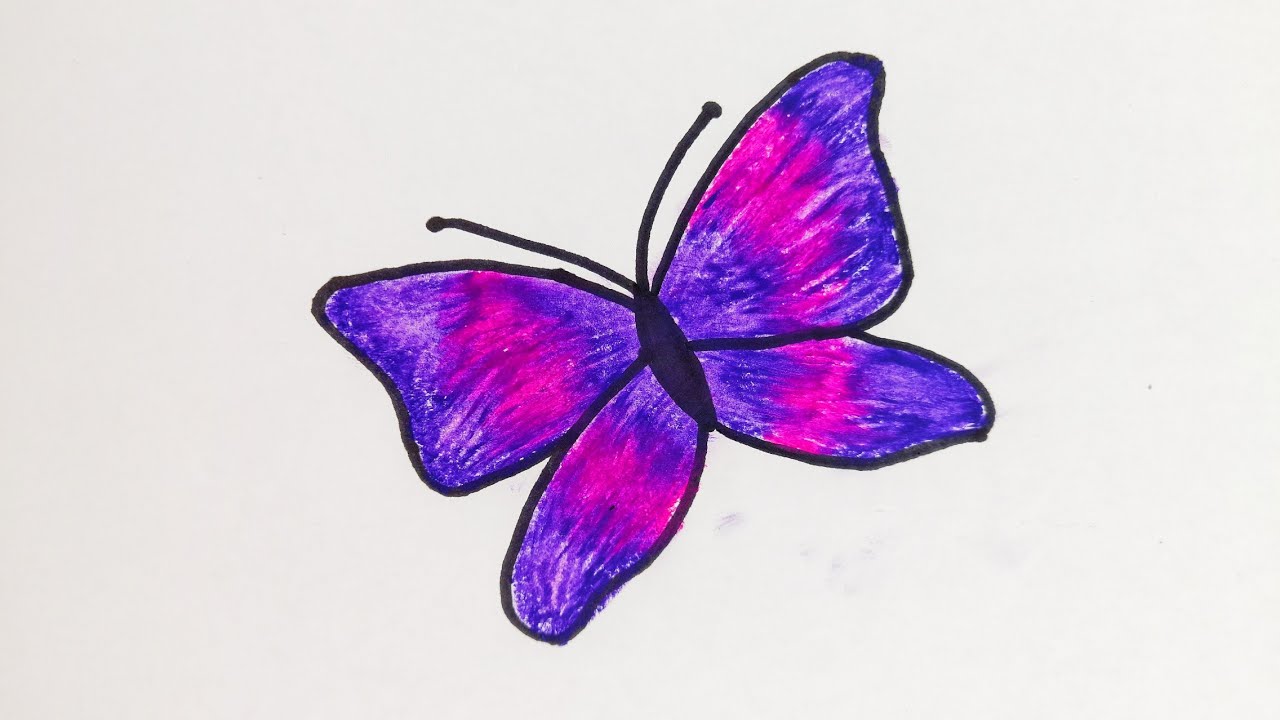 How to draw beautiful Butterfly || Colourful Butterfly Drawing ...