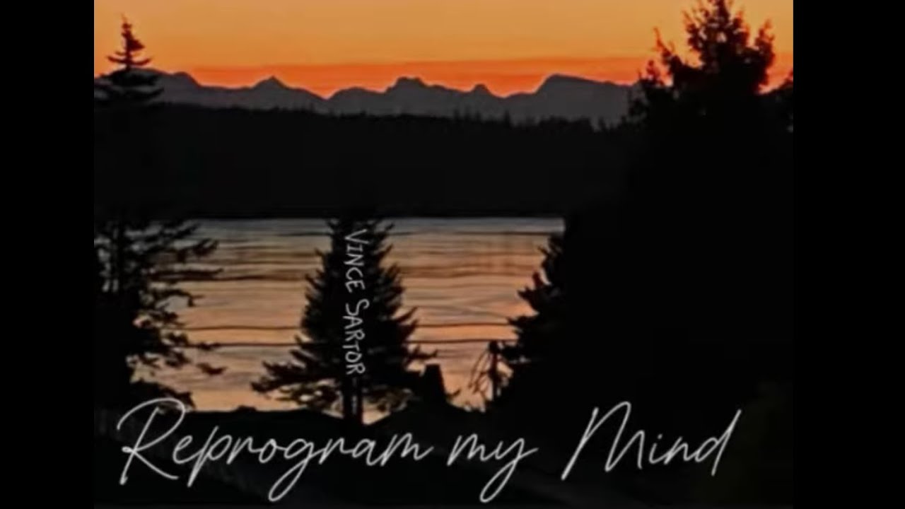 Reprogram my Mind - Vince Sartor - YouTube