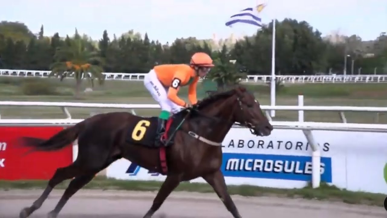 APACHE CAT - Clasico UBALDO SERÉ - YouTube