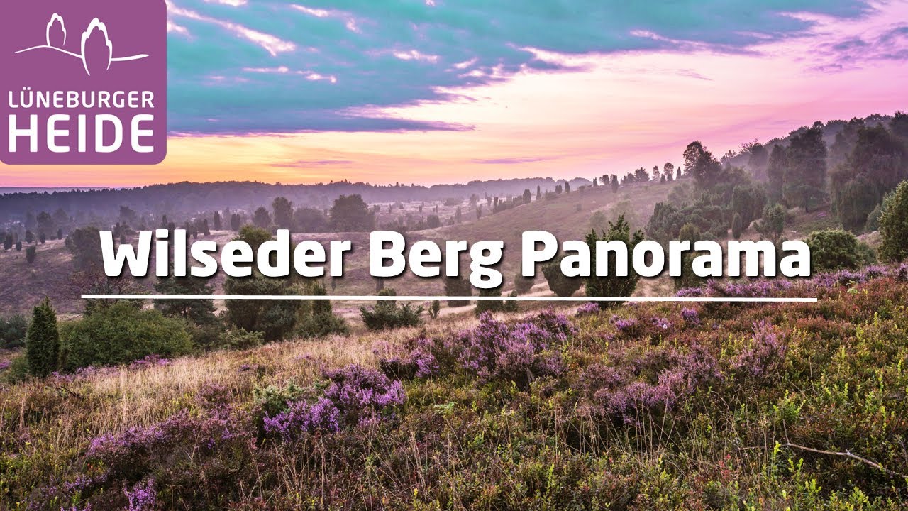 Panoramablicke vom Wilseder Berg in die blühende Lüneburger Heide - YouTube