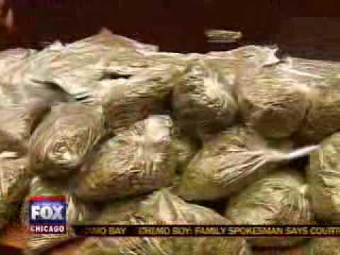 Fighting Super Marijuana