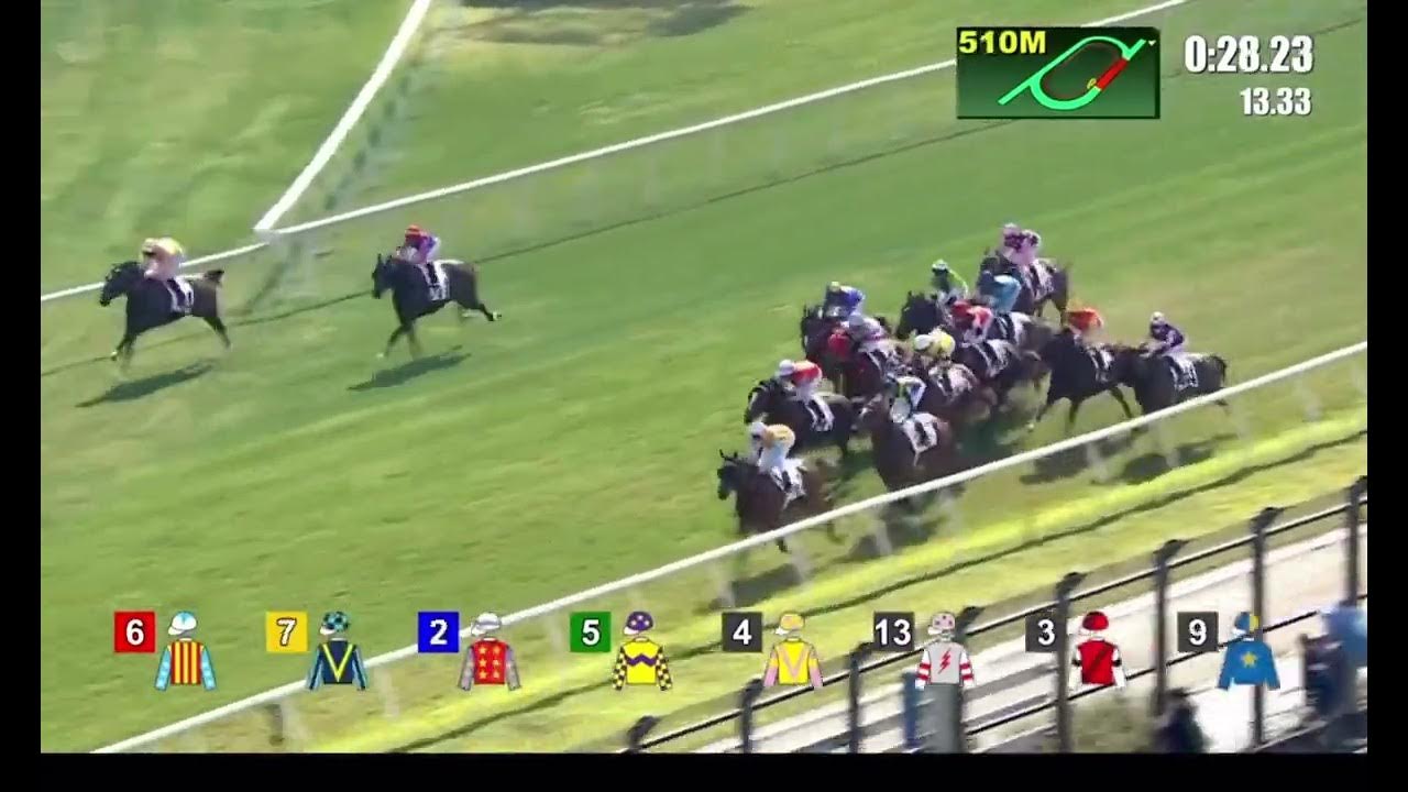 Shatin HK Horse Racing:Race 2-Class 4-1000m: January 5,2025 (Sunday) - YouTube