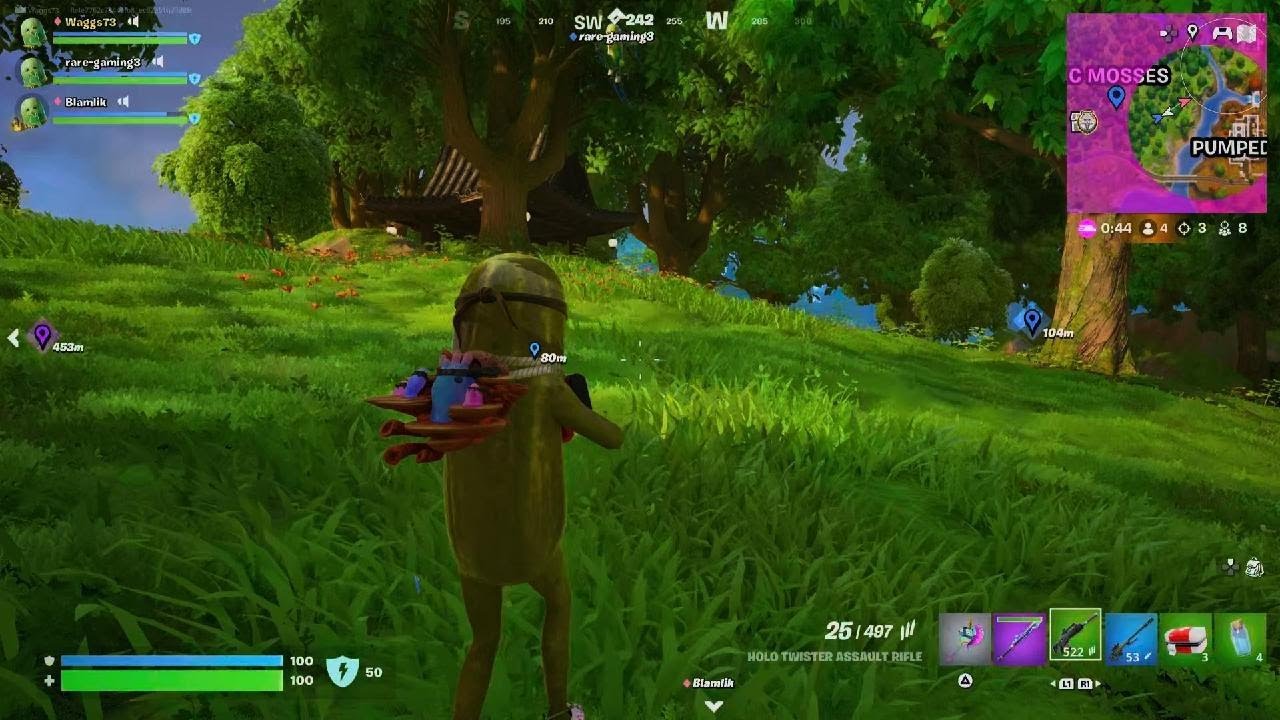 Fortnite Pickle Win - YouTube