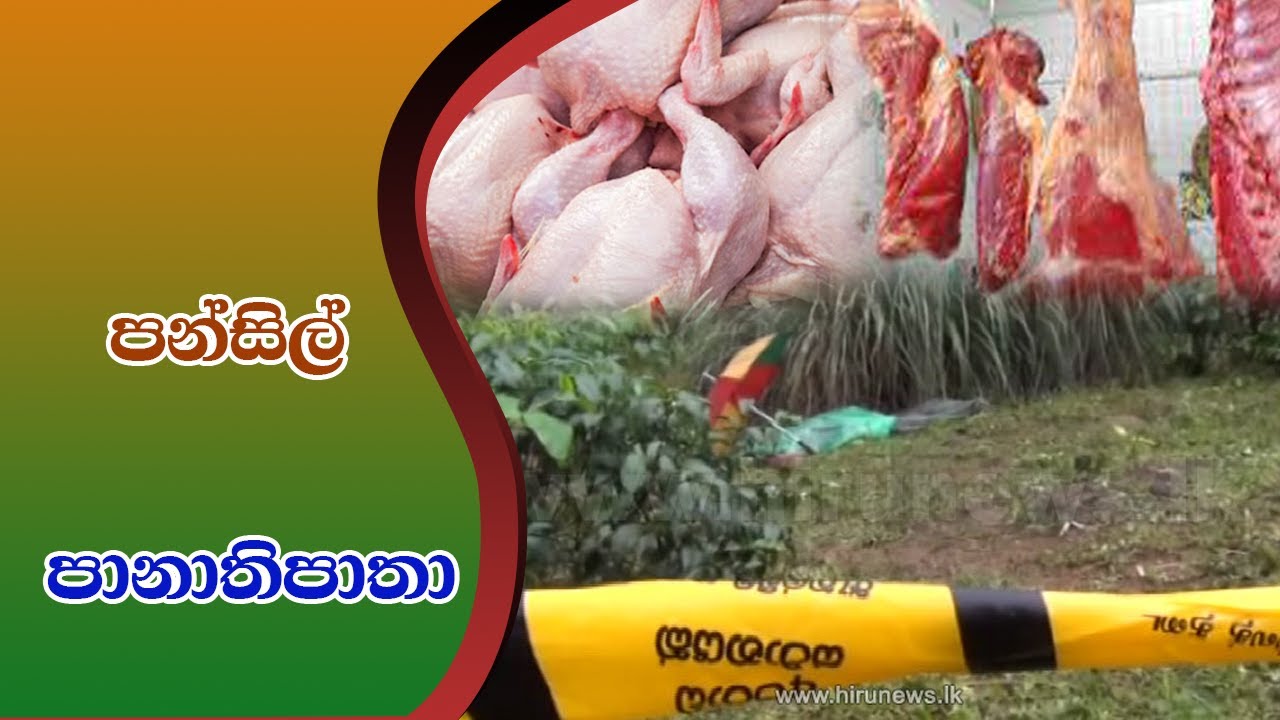 පන්සිල්|pansil|progress|panathipatha|Sil| - YouTube