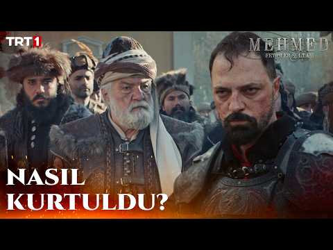 Evrenosoğlu Ali Bey Nasıl Kurtuldu? - Mehmed: Fetihler Sultanı 78. Bölüm