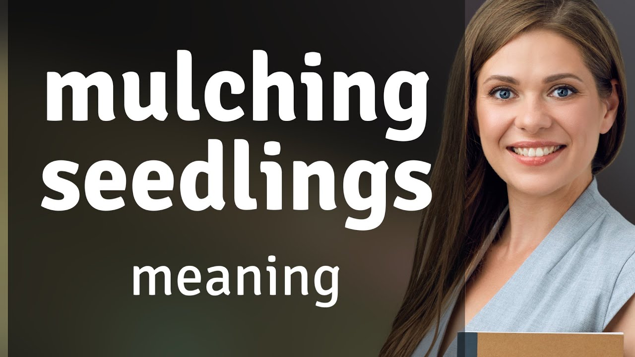 Understanding "Mulching Seedlings": A Beginner's Guide - YouTube