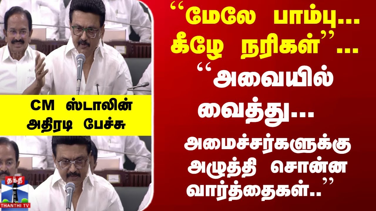 TN Assembly | TN Govt | CM Stalin | ``மேலே பாம்பு... கீழே நரிகள் ...