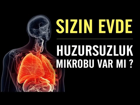 Sizin Evde huzursuzluk Mikrobu var mı? Nureddin Yıldız