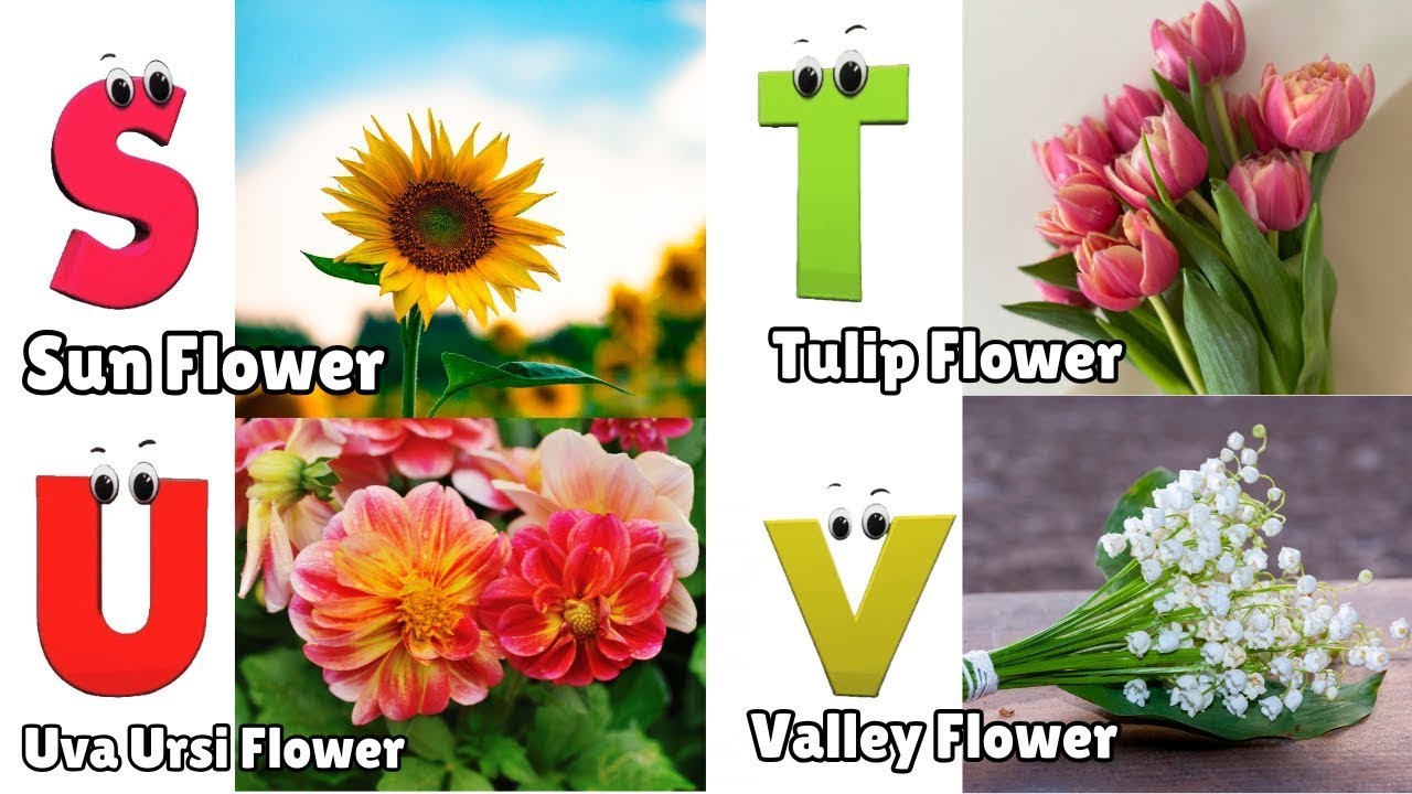 Flowers ABC Song for Kids | Phonics for Kids | English Alphabet Letters ...