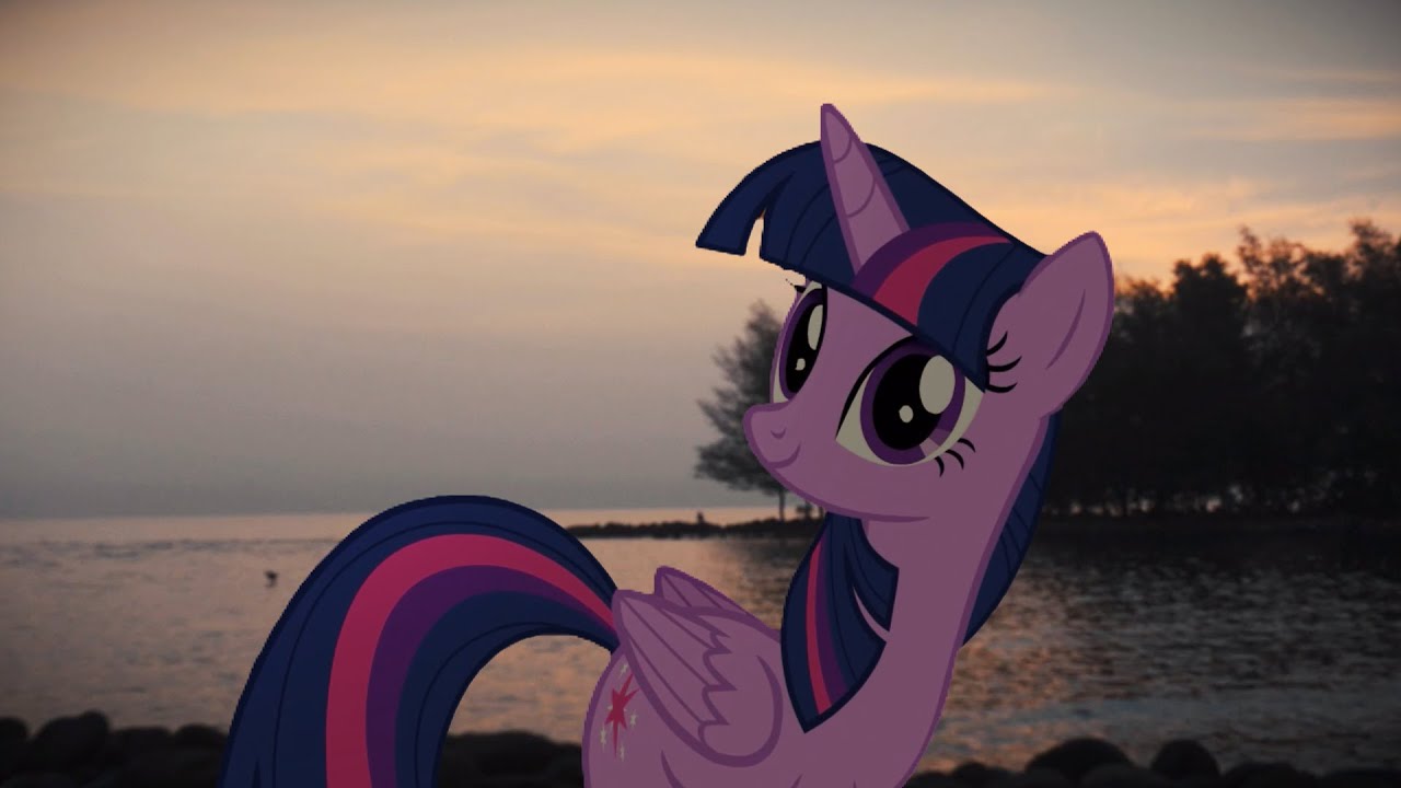 Ponies In The Sunset (MLP IRL) - YouTube