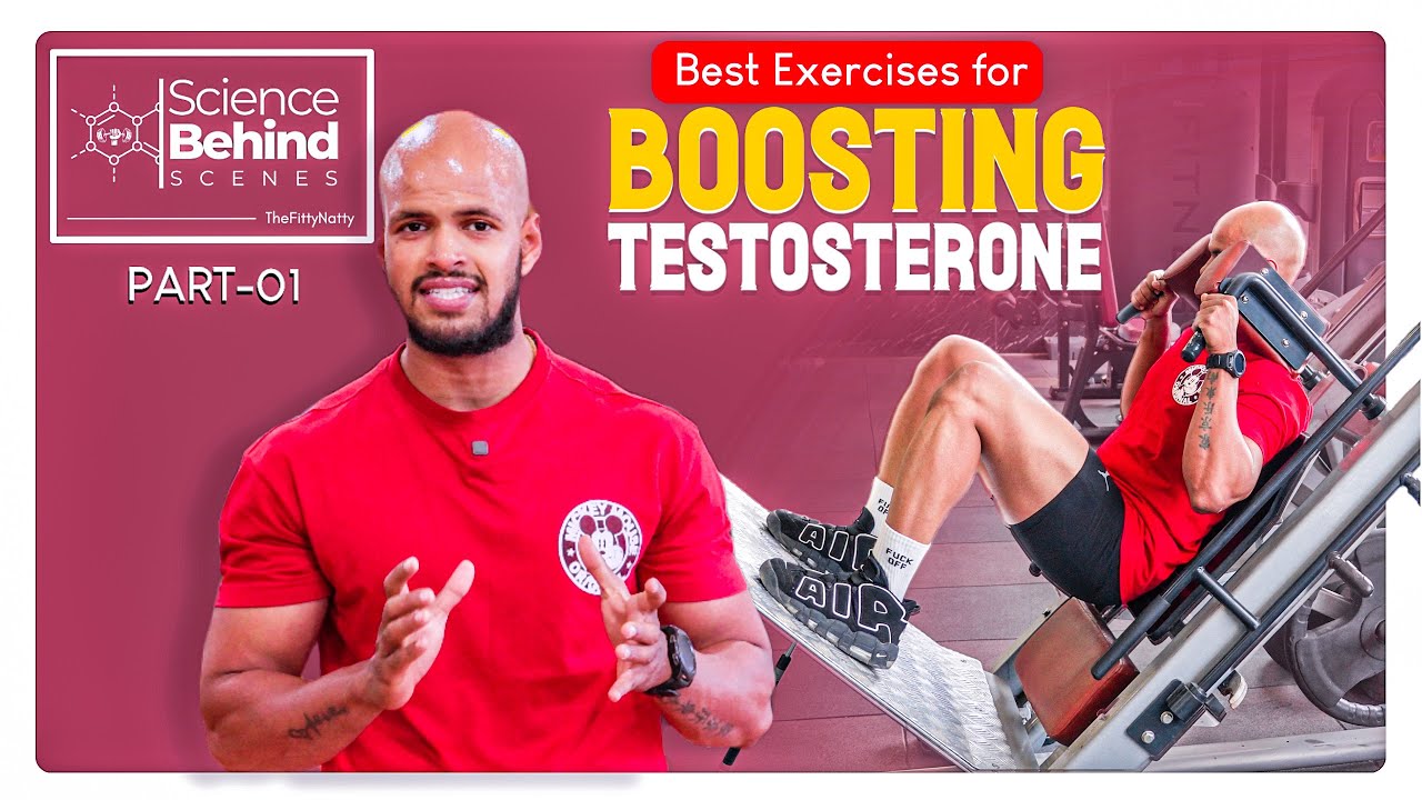 Best Exercises for Boosting Testosterone📈 || Part - 01 || తెలుగు లో ...