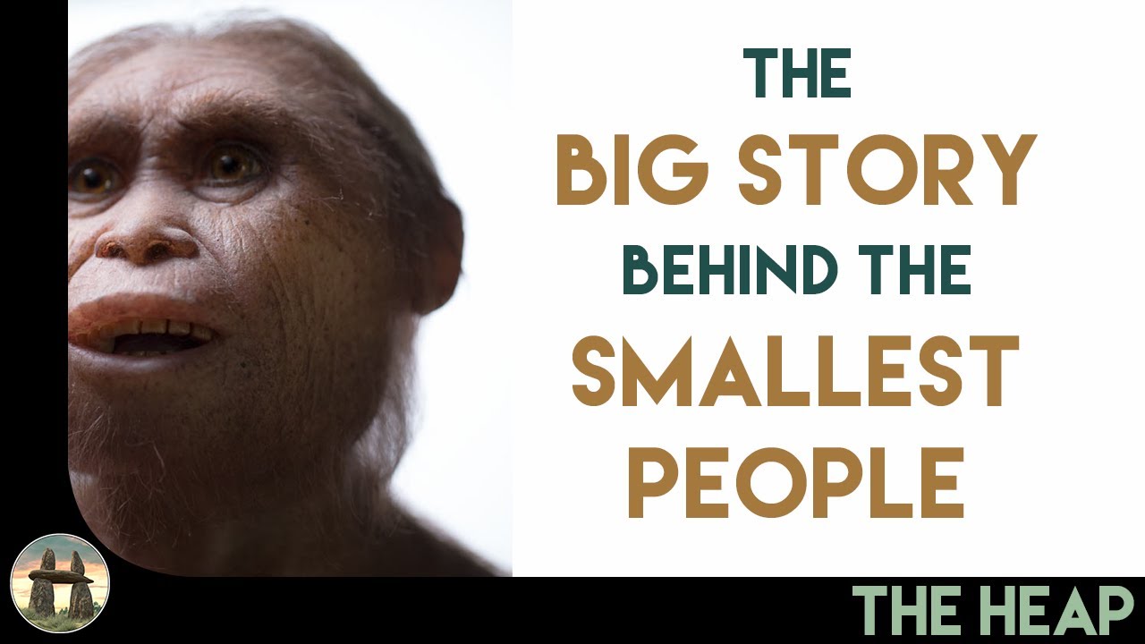 How Homo Floresiensis Was Discovered - Go IT