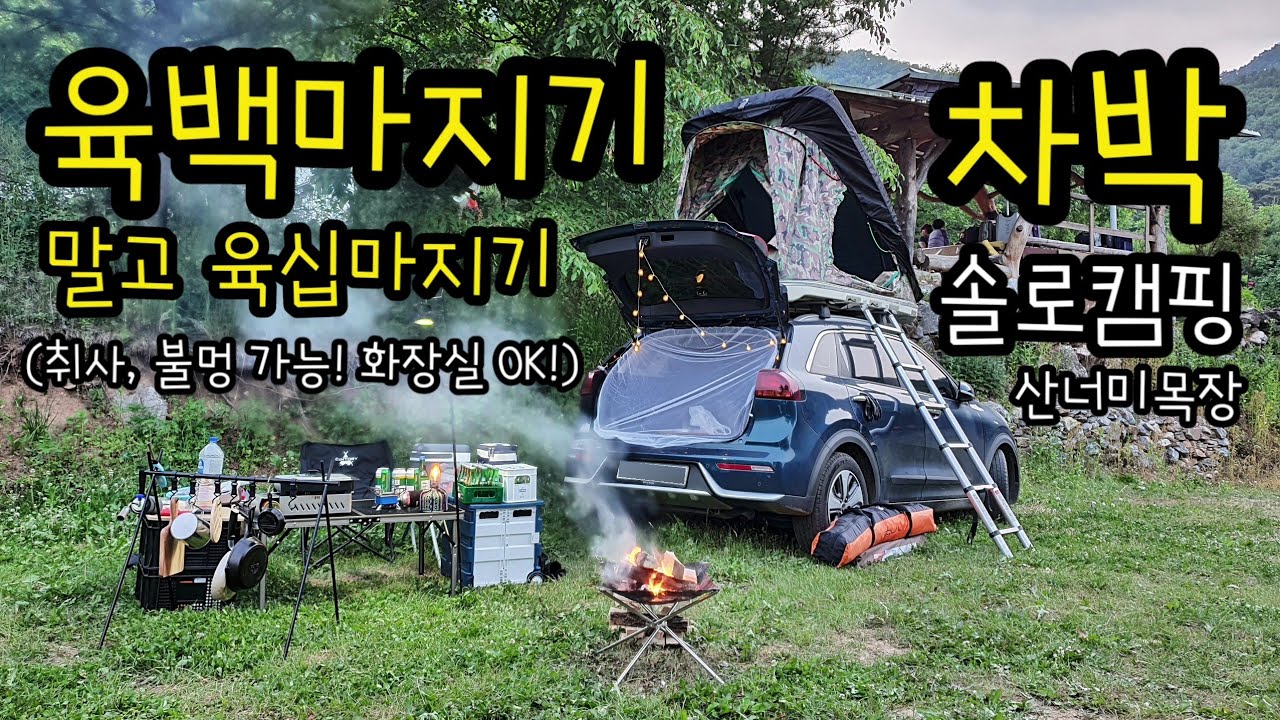 4k 육백마지기에서 캠핑은 불법이에요 야영과 취사가 금지된 육백마지기에서 차박캠핑이 하고 싶다면 육백마지기 근처