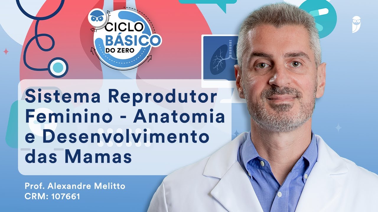 Sistema Reprodutor Feminino - Anatomia e Desenvolvimento das Mamas ...