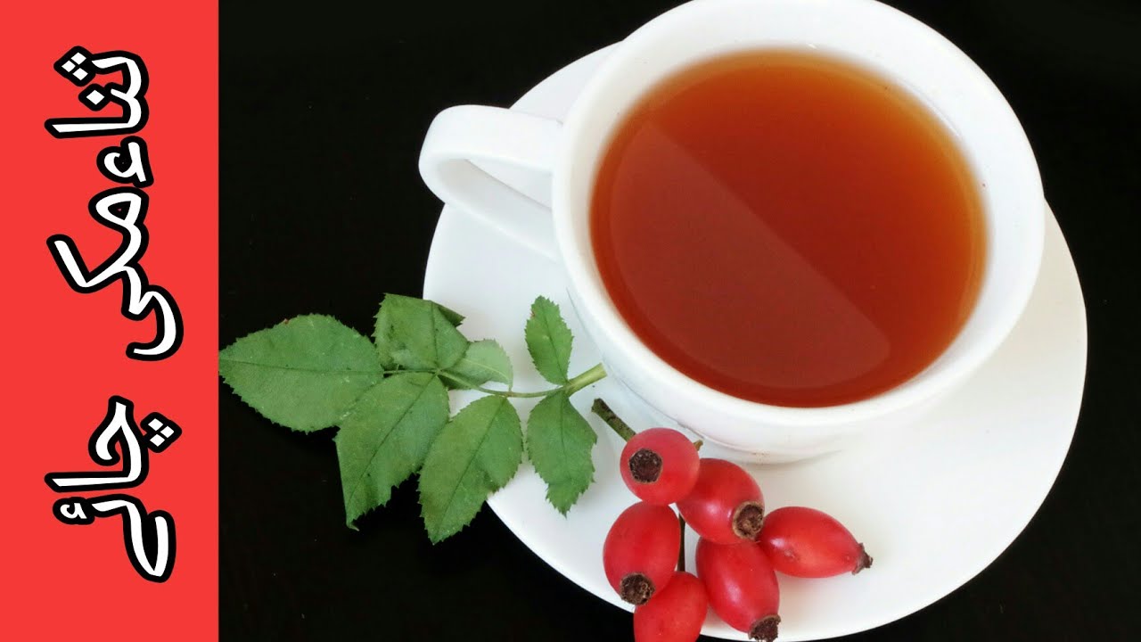 How to make senna makki tea | Sana Maki Tea Recipe | Urban tips ...