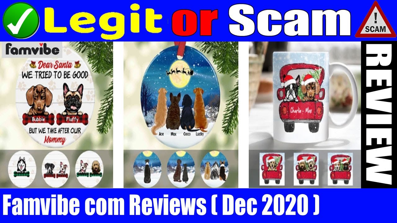 Famvibe com Reviews {Dec 2020} Watch Unbiased Review Now! | DodBuzz ...