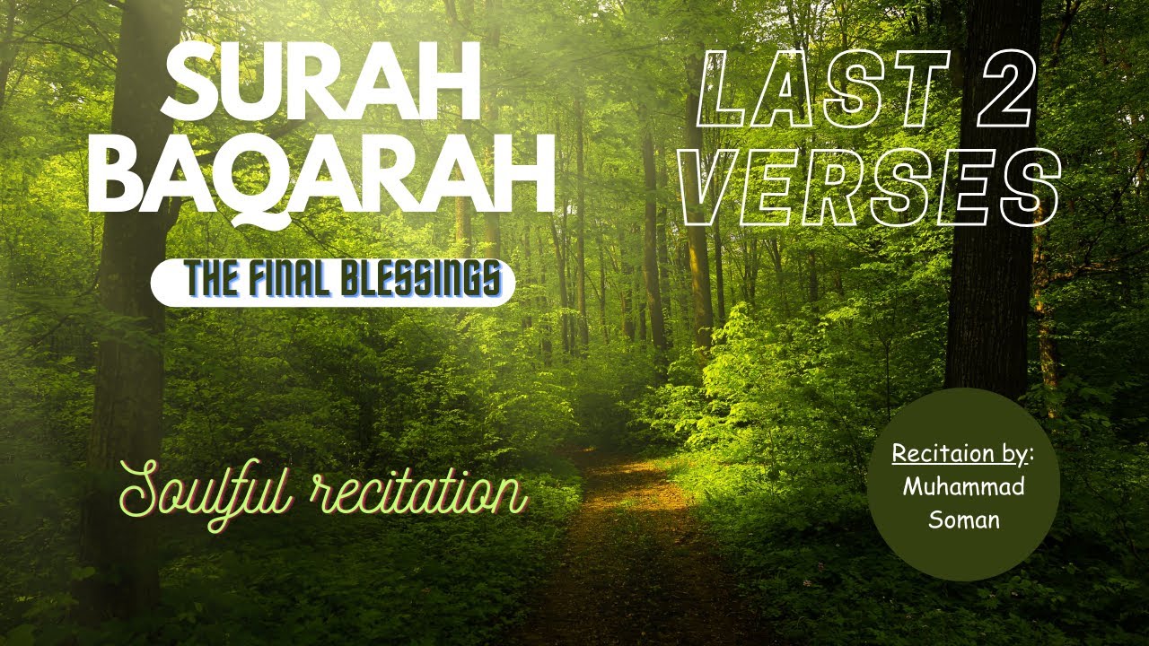 Suarah Baqarah's final blessings| a soulful recitation | Divine ...