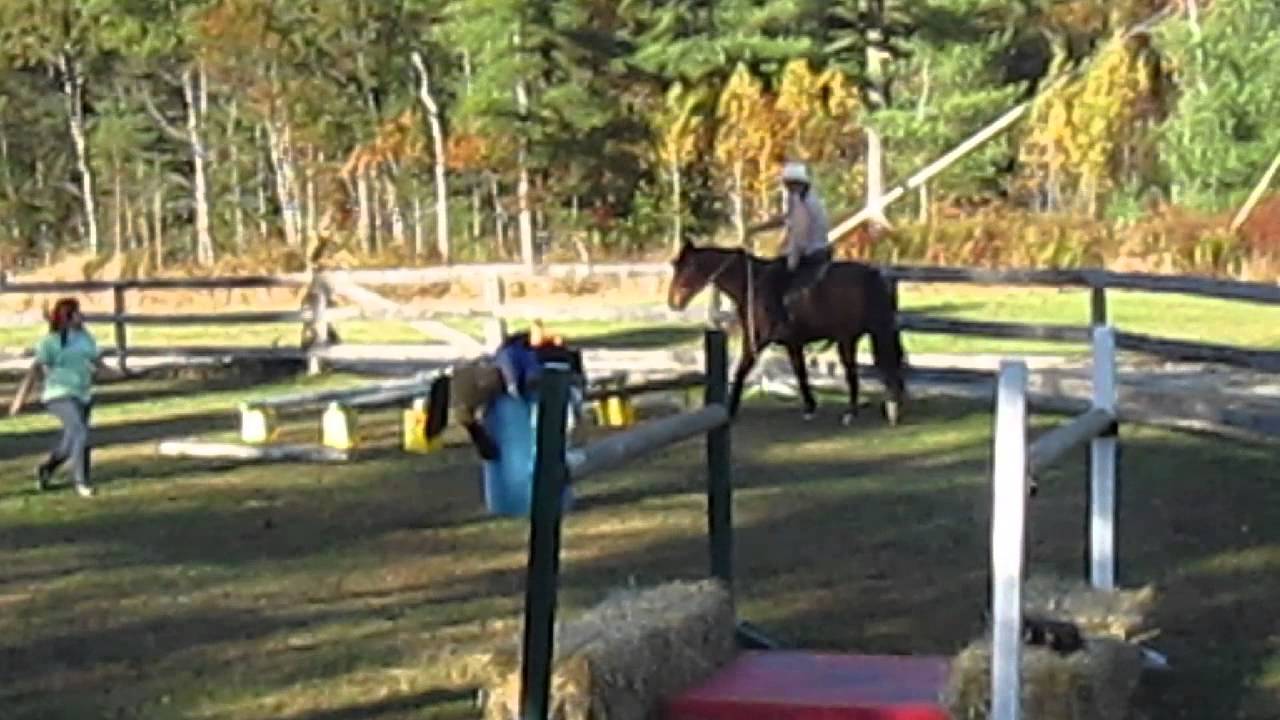 Horse versatility course Ruger and Cathie - YouTube