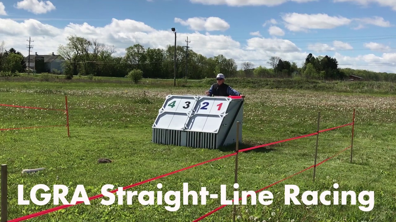 Basenjis LGRA Straight-Line Racing - YouTube
