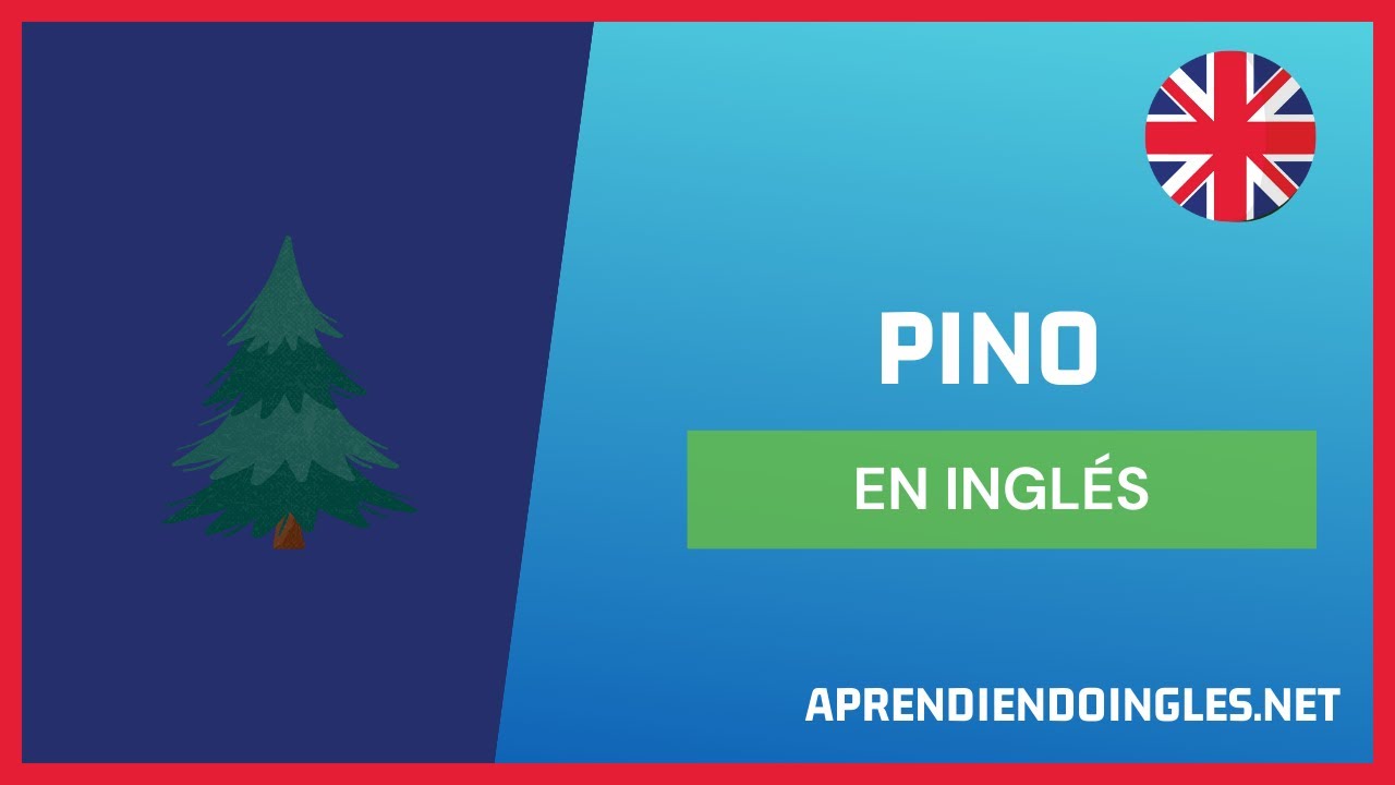 CÓMO se dice PINO en INGLÉS 2023 🚀 APRENDE A ESCRIBIR PINE TREE ...