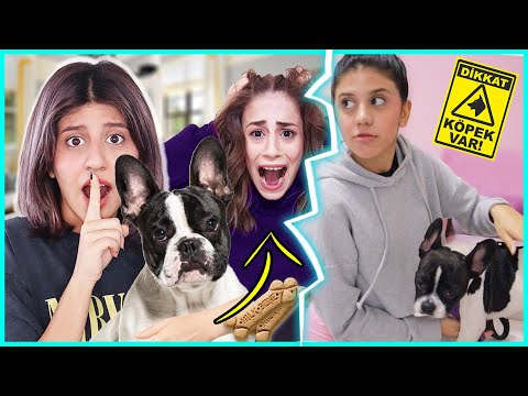 GİZLİCE KUZENİM EBRU'NUN KÖPEĞİNİ KAÇIRDIK YAĞMUR KAYA