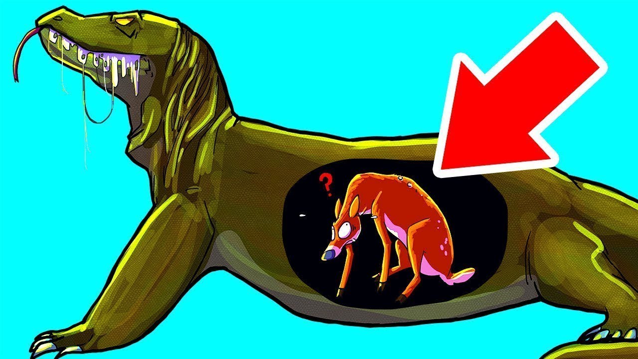 Animales Horrorosos Que Debes Evitar A TODA COSTA! - YouTube