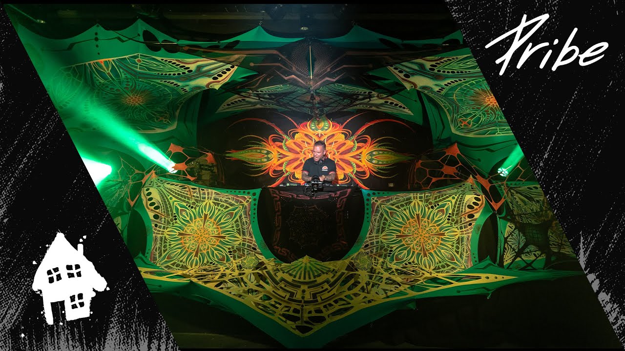 Pribe I Psychedelic Journey Livesets IV pres. by Houserasten - YouTube