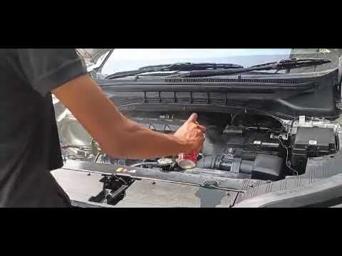 Car Service: Rodent Cleaning | KIA India - YouTube