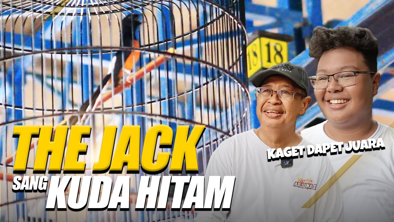 MURAI BATU INI TIDAK DIPERHITUNGKAN TAPI JUARA 1 The Jack Bawa Pulang ...