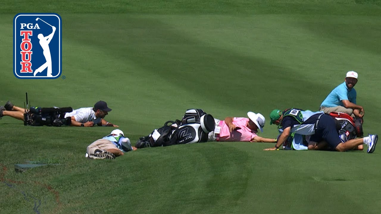 Pro golfers dodge swarm of BEES - YouTube