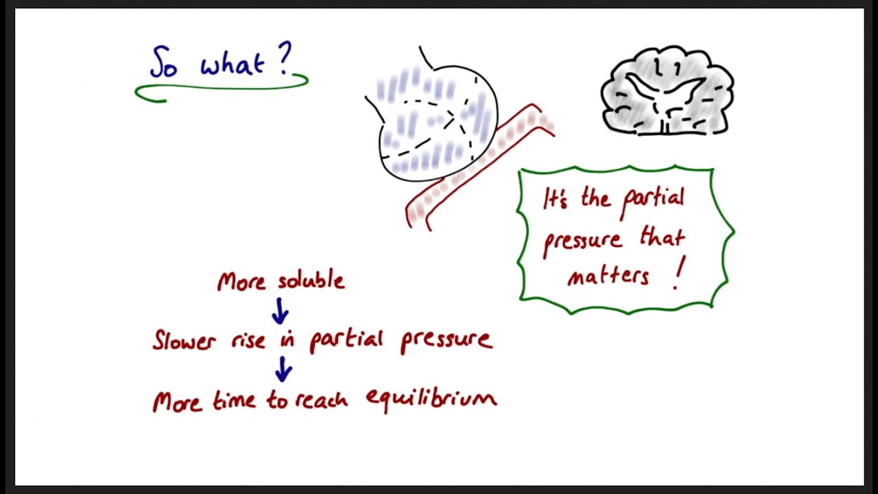 Blood:Gas Partition Coefficients - YouTube