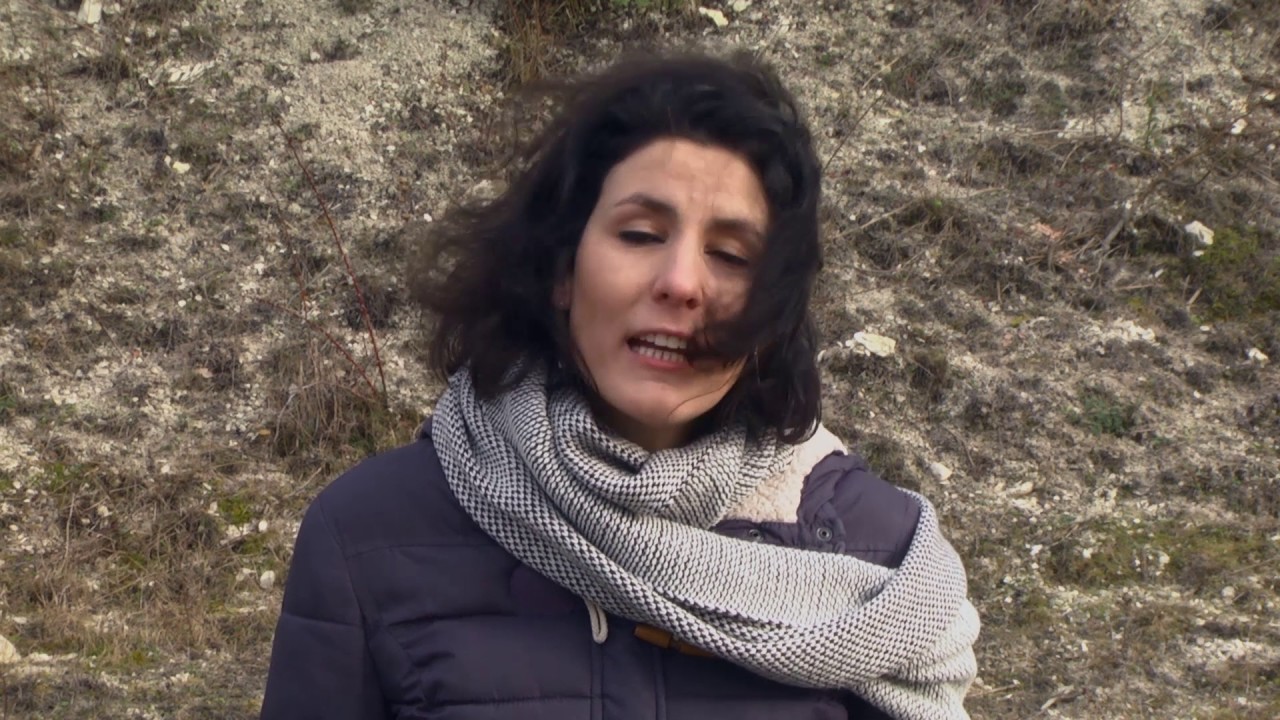 Filming WFG promo video - YouTube