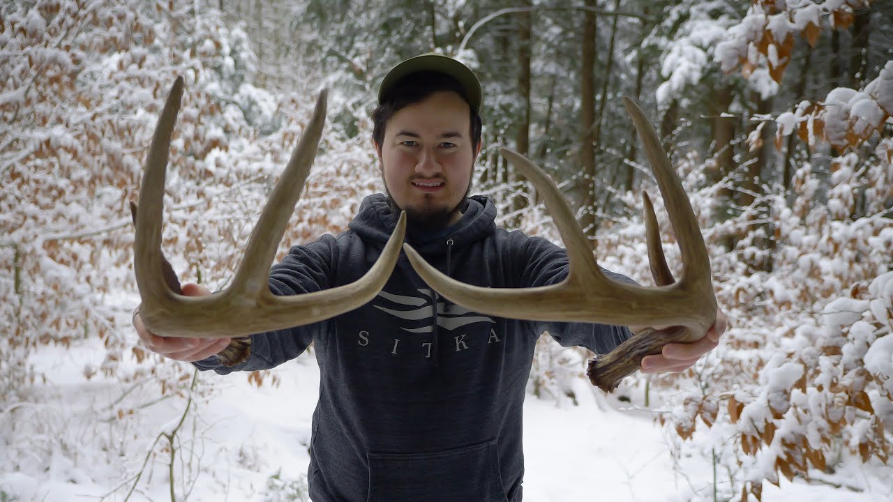 The First Big Set of the Year! Pennsylvania public land shed hunting! # ...