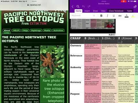 How to Use CRAAP using the rubric on the Tree Octopus - YouTube