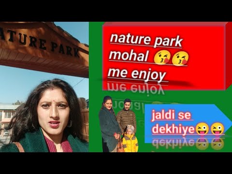 enjoy mohal nature park🥰🥰🥰 - YouTube