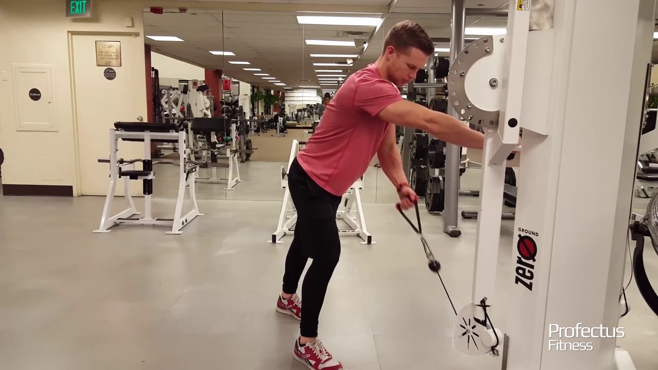 How To Do A Low Cable Row - YouTube