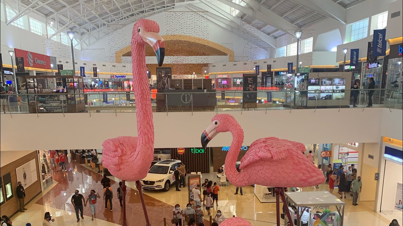 LiverPool Mall Merida Mexico #spirituality #merida #méxico #livinglife ...