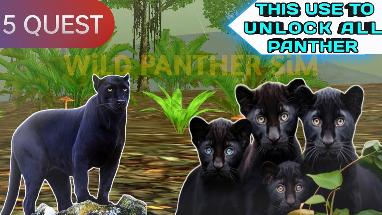WILD PANTHER 🐯⚫ SIMULATOR UNLOCK ALL PANTHER | UNLOCK PANTHER FAMILY 🐾 ...