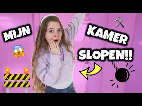 WE SLOPEN DE KAMER VAN HAYLEY !! - Broer en Zus TV #586