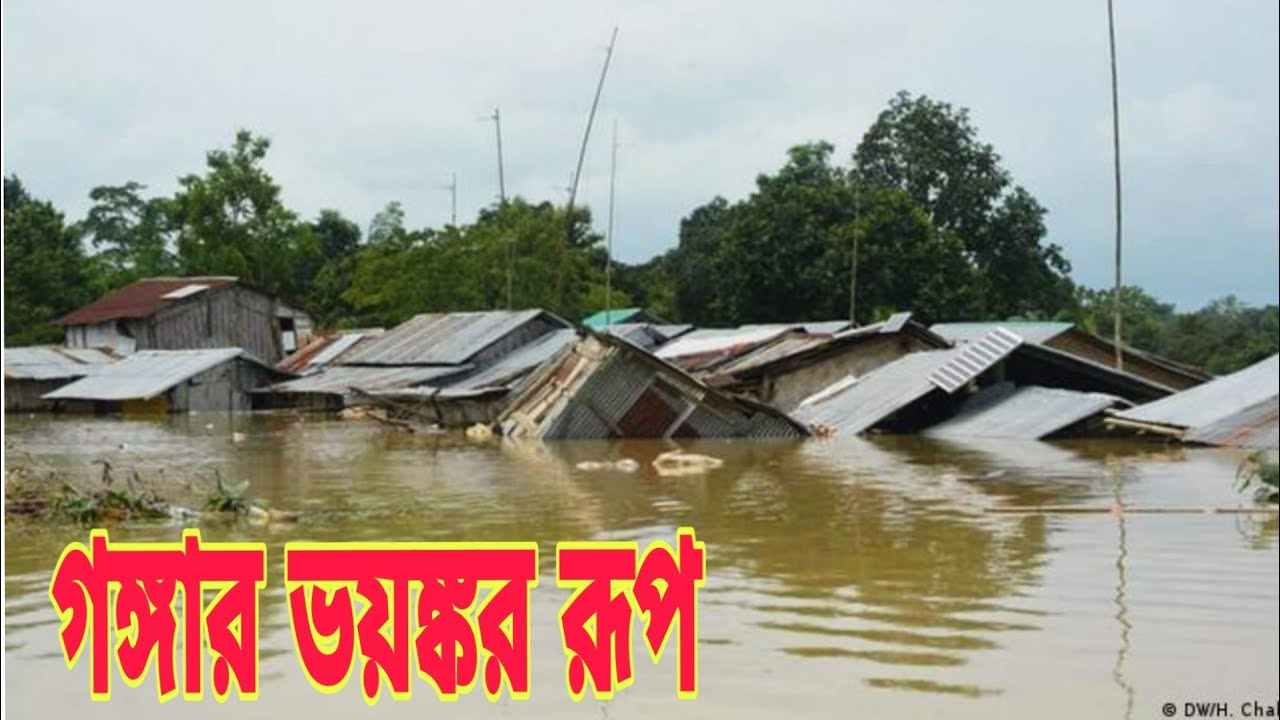 বন্যার আশঙ্কা মালদা মুর্শিদাবাদে।WestBengal Flood Malda Murshidabad ...