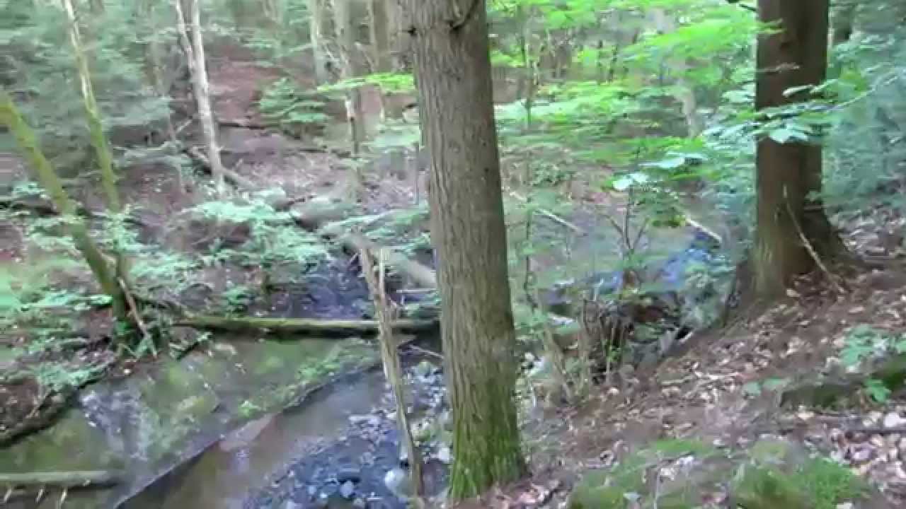 Lake George Wild Forest Free Camping. - YouTube
