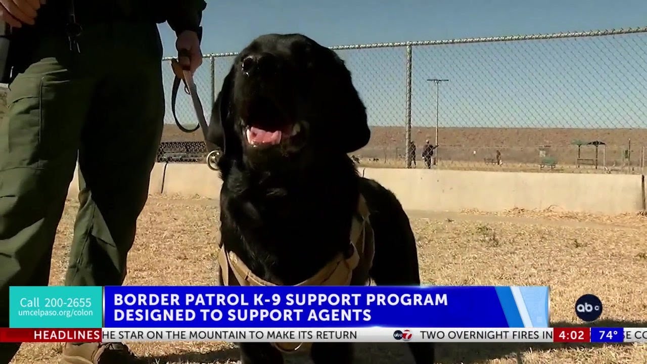 New canine support program to support U.S. Border Patrol Agents in El ...